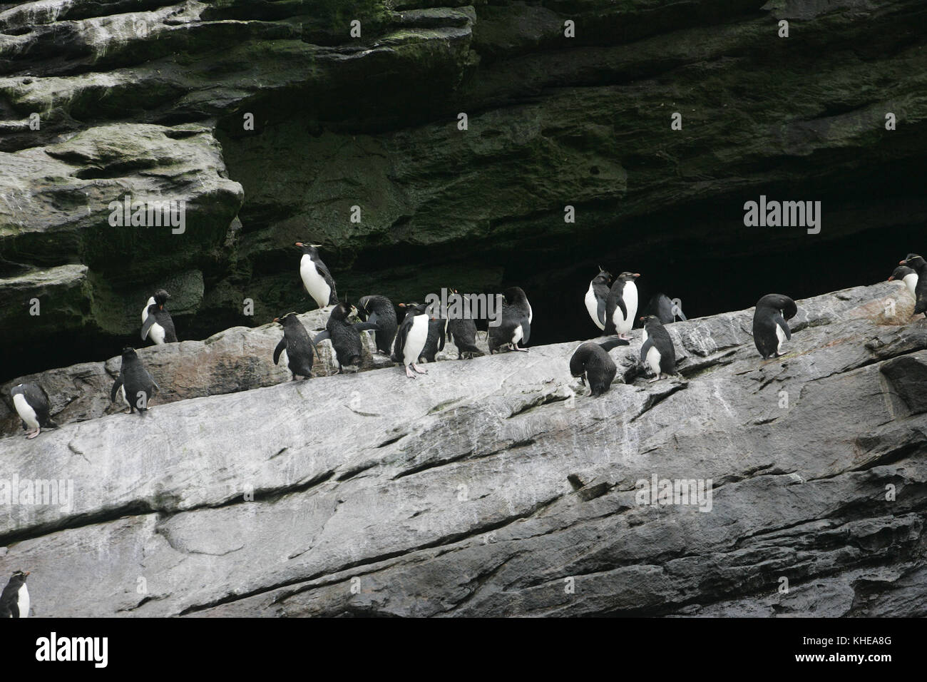 Climbing cliffs hi-res stock photography and images - Alamy