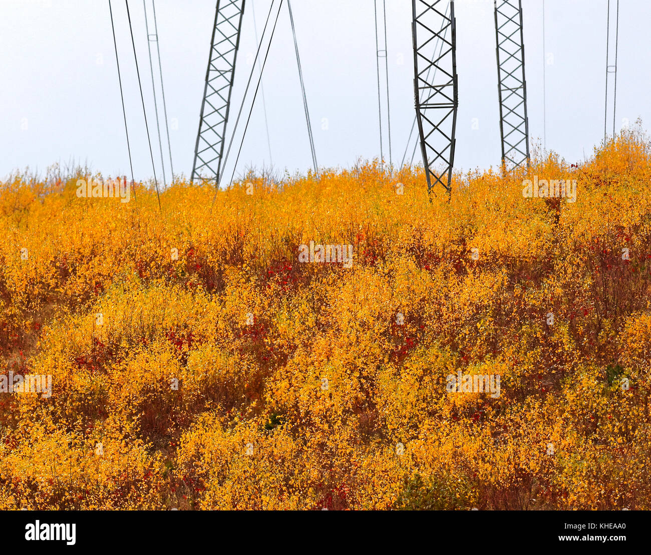 Power lines canada hi-res stock photography and images - Alamy