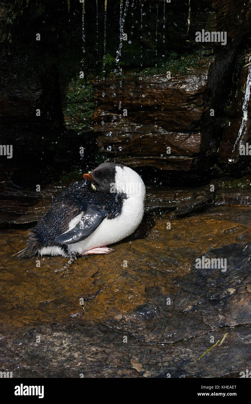 Falkland waterfall hi-res stock photography and images - Alamy