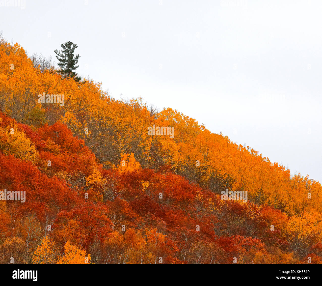 Vibrant autumn colors hi-res stock photography and images - Alamy