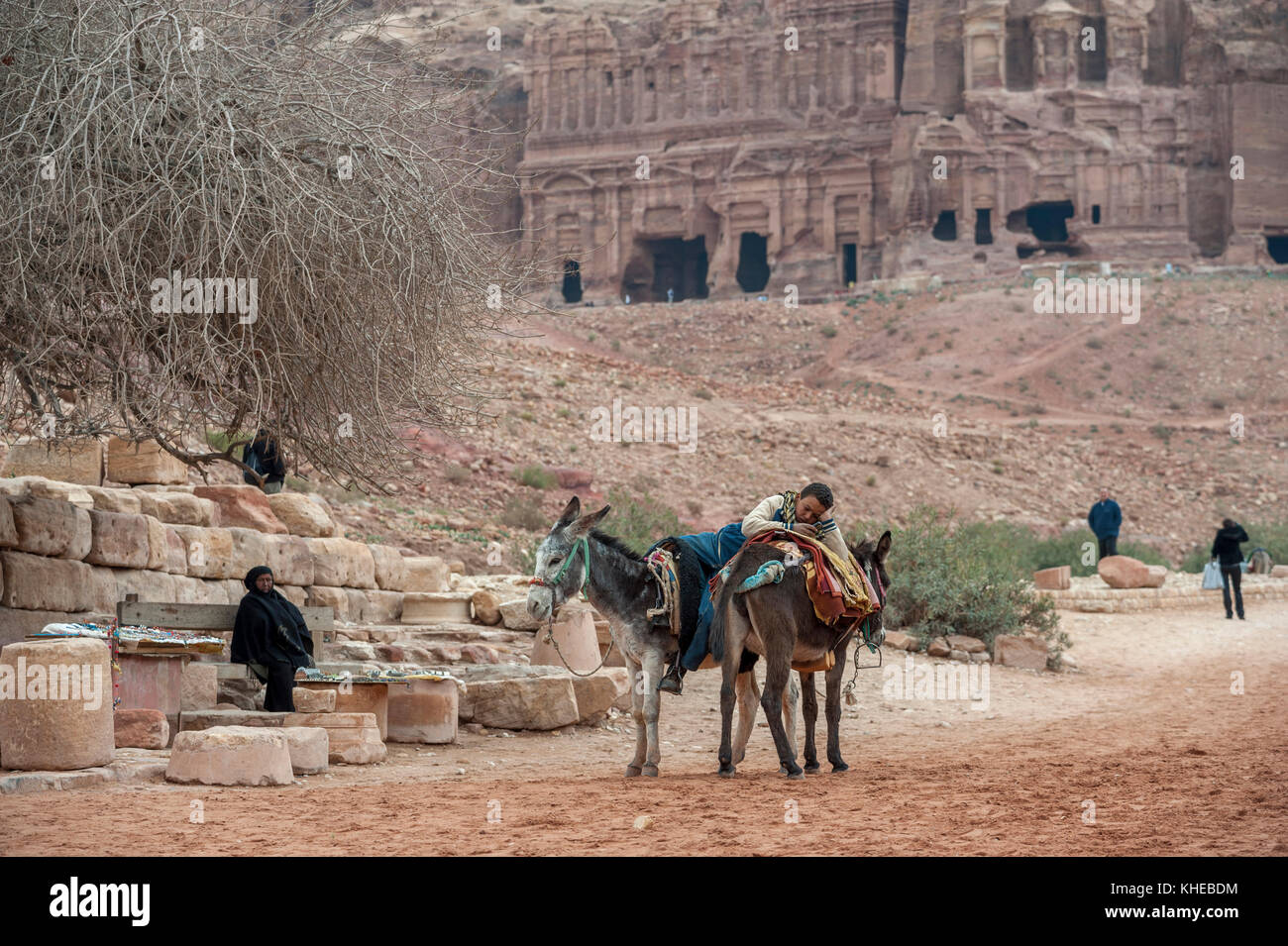 Bored donkey owner. Petra, Jordan, Middle East Stock Photo - Alamy