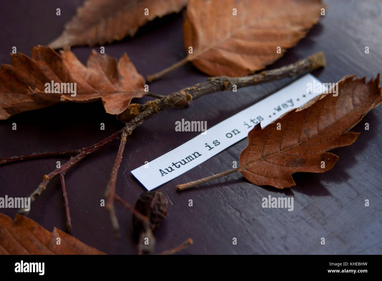Dry leaves on the table Stock Photo - Alamy