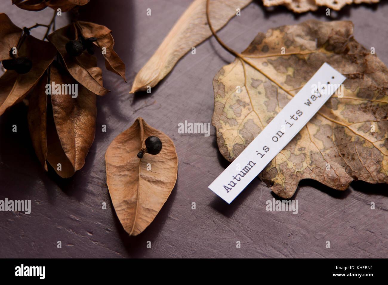Dry leaves on the table Stock Photo - Alamy