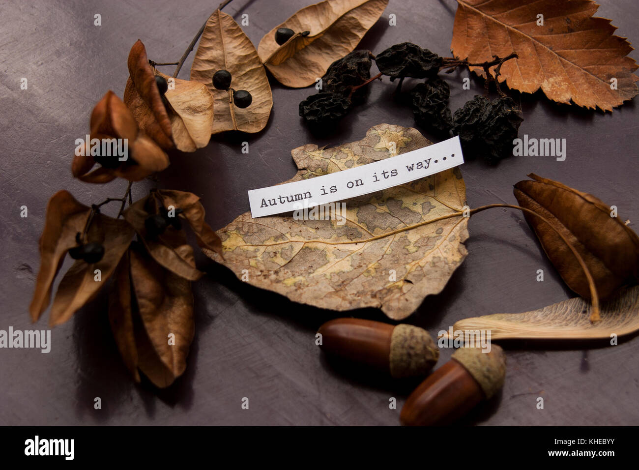 Dry leaves on table Stock Photo - Alamy