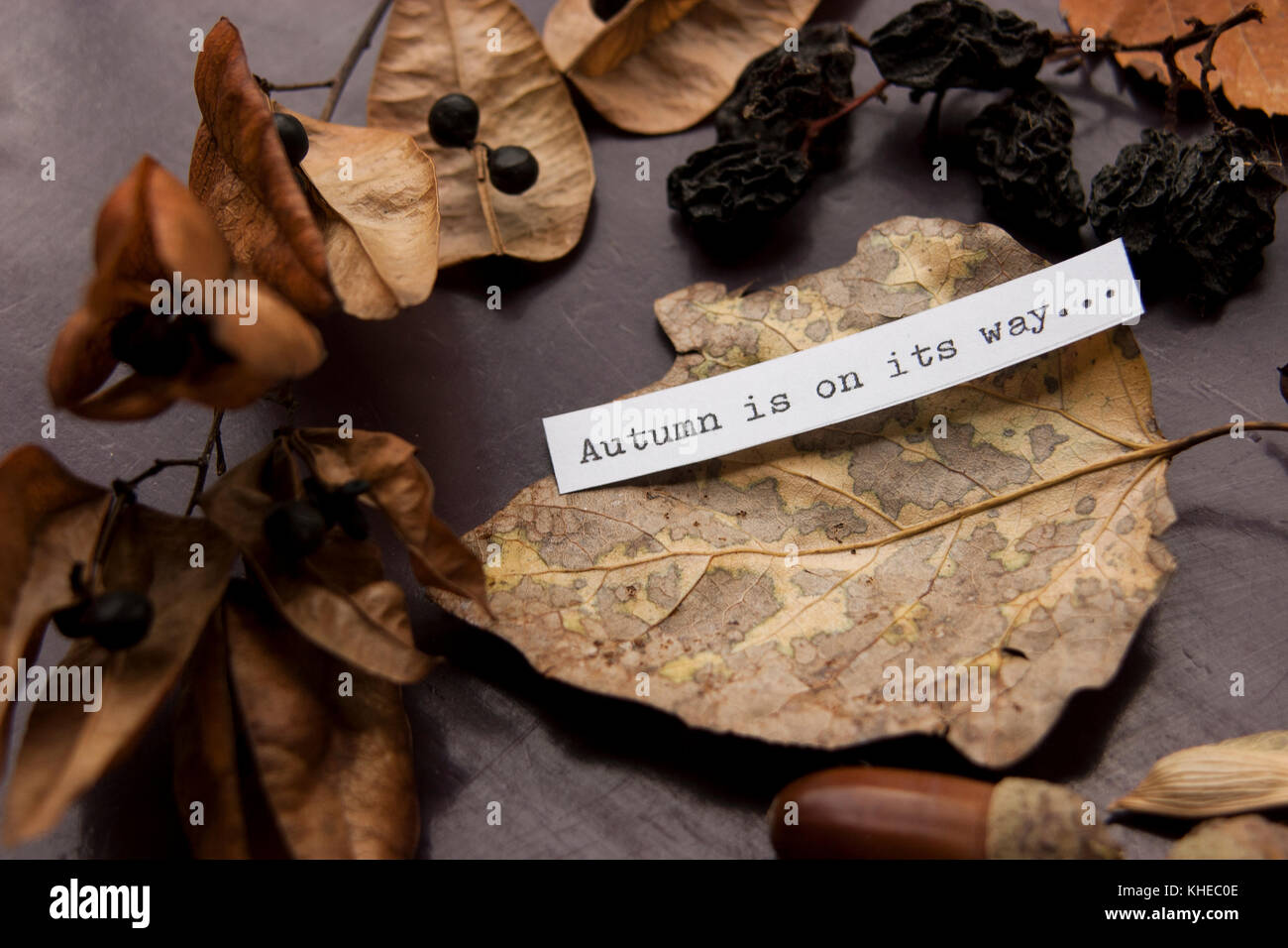Dry leaves on the table Stock Photo - Alamy