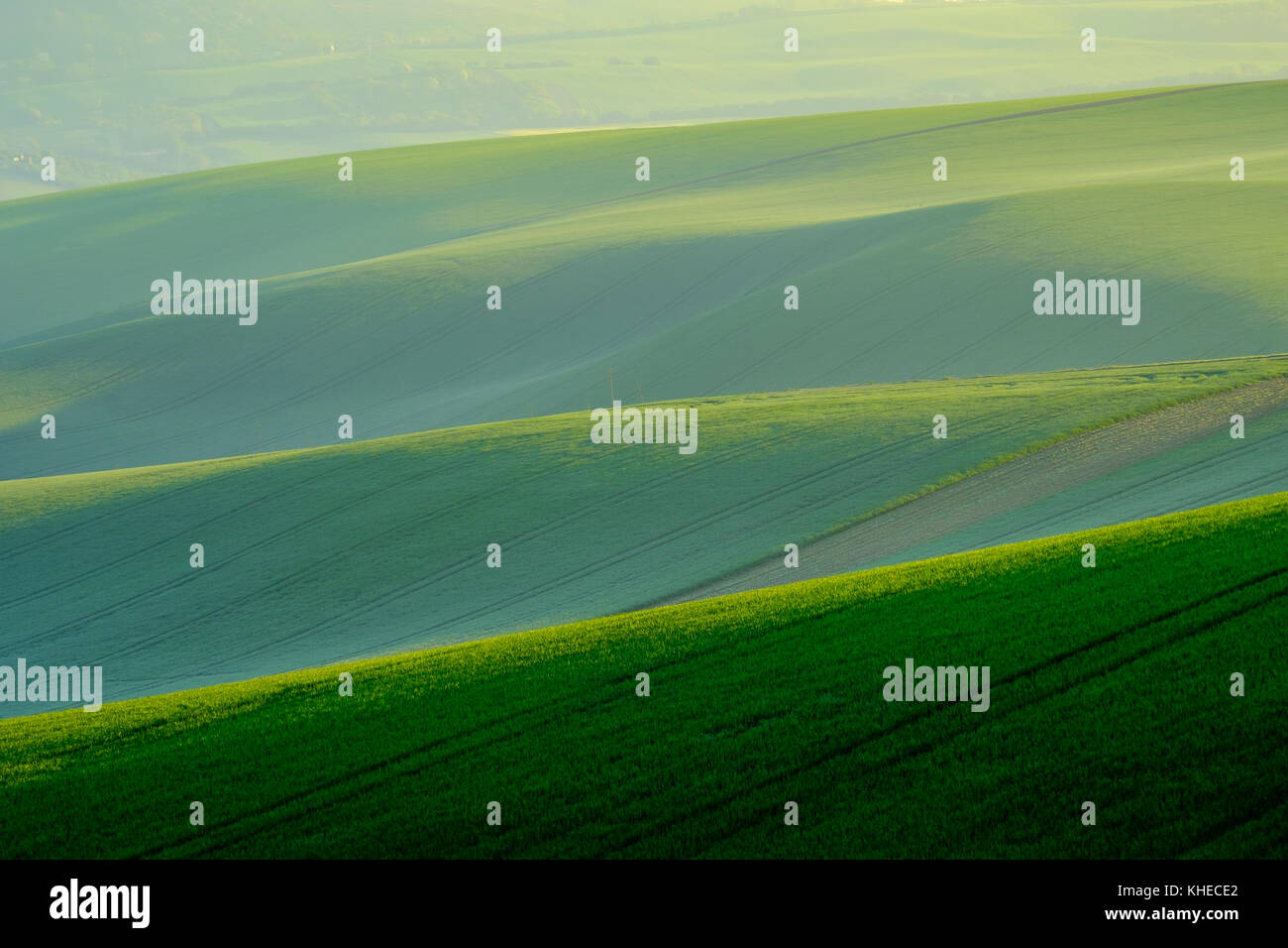 Green wavy hills in South Moravia Stock Photo - Alamy