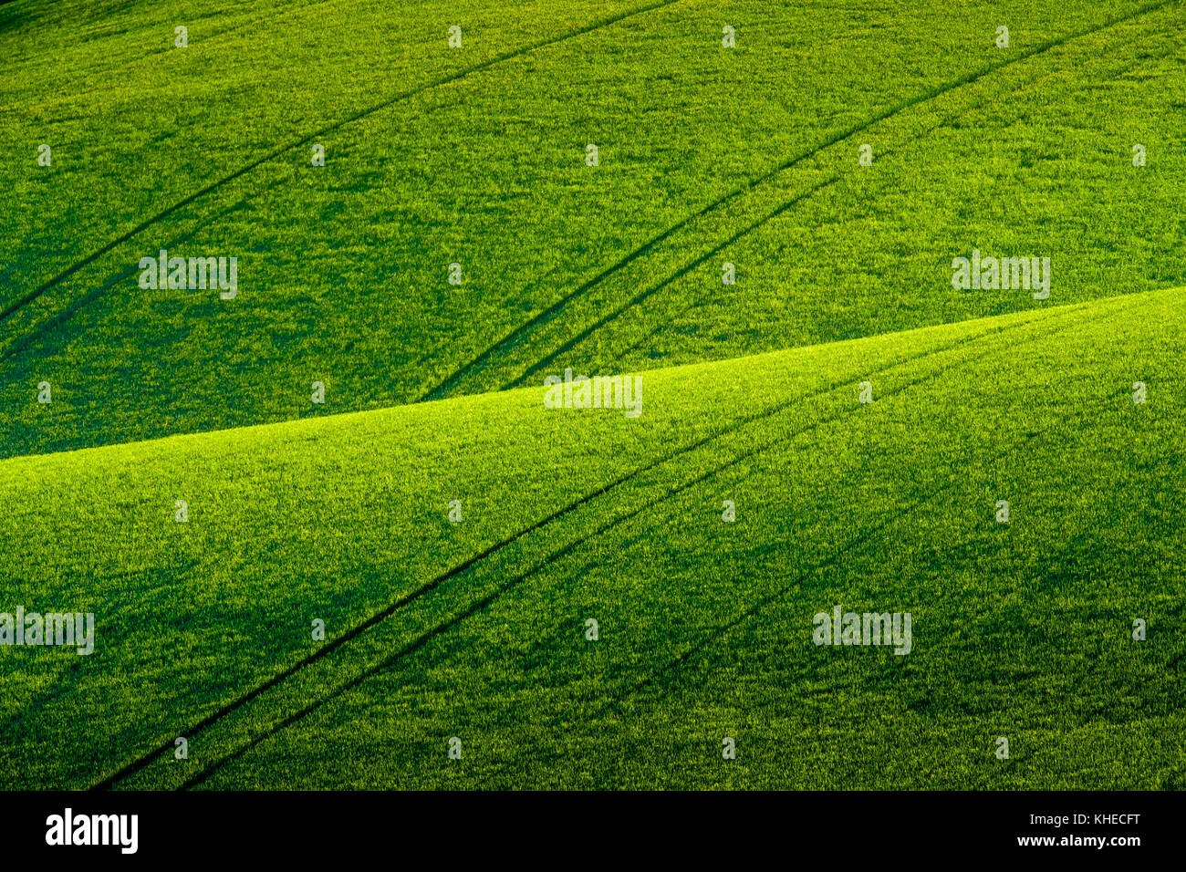 Green wavy hills in South Moravia Stock Photo - Alamy