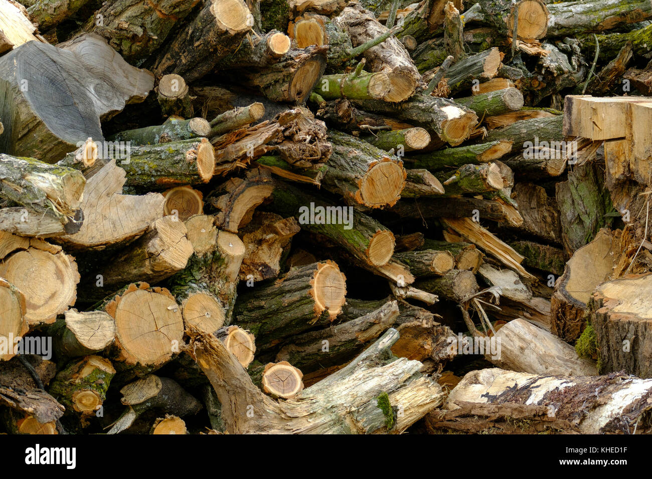 Firewood in stack Stock Photo - Alamy