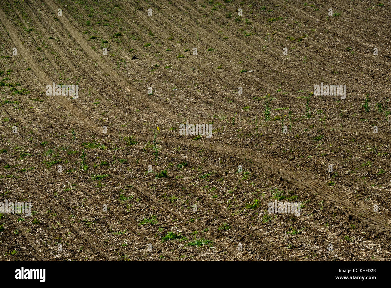 Plowed field in countryside Stock Photo - Alamy