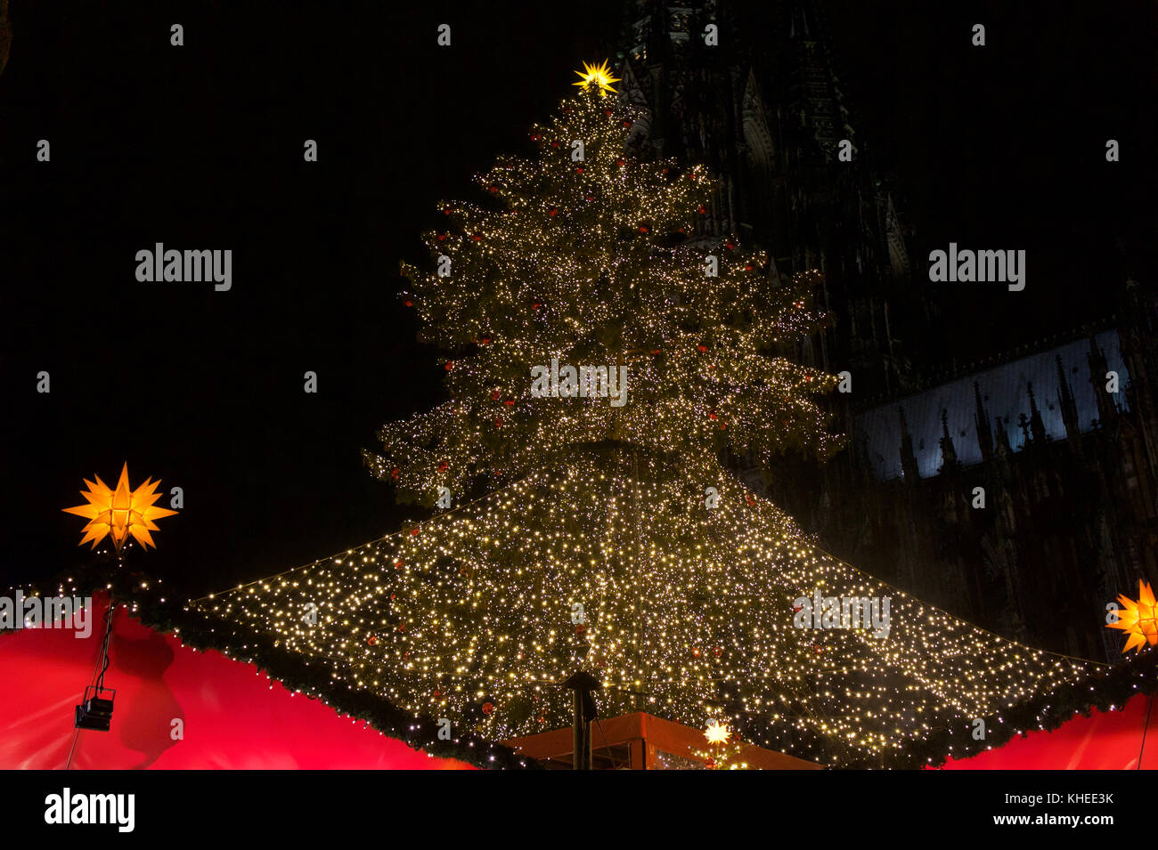 Illuminated Christmas Tree at Cologne Cathedral Christmas Market Stock ...