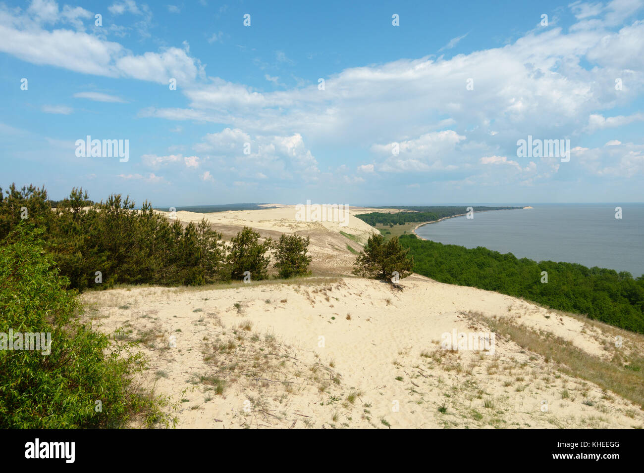 Wood on sand hi-res stock photography and images - Alamy