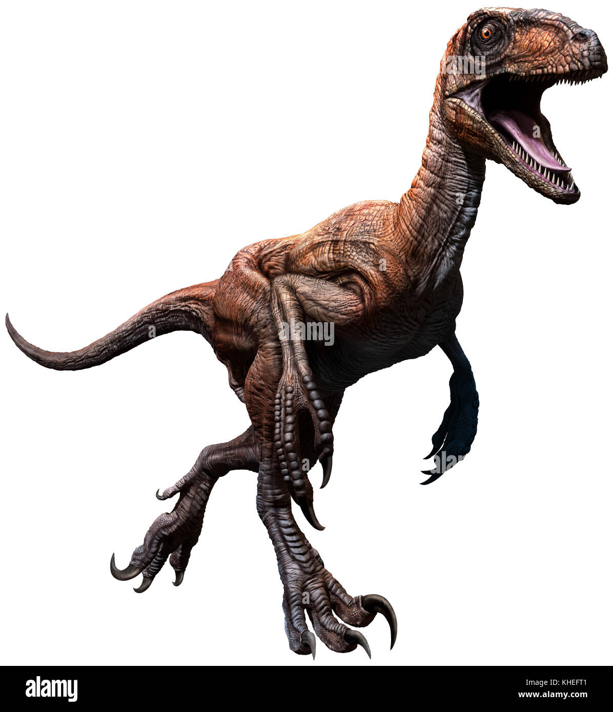 Deinonychus hi-res stock photography and images - Alamy