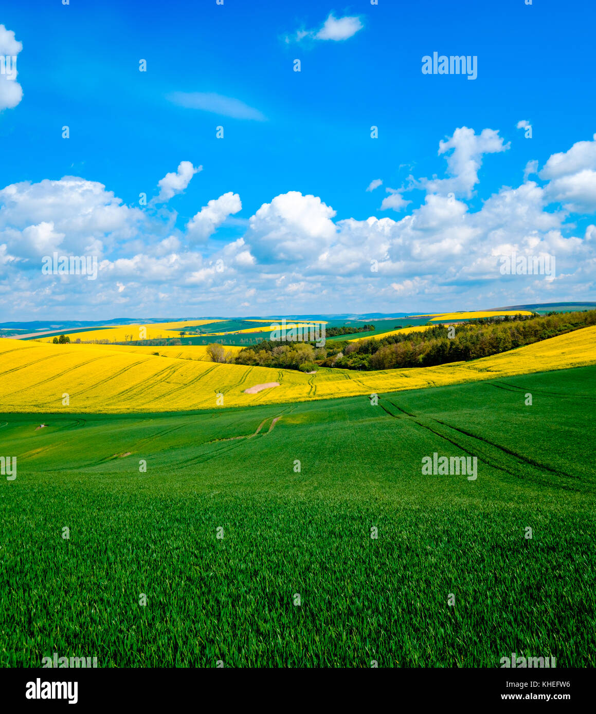 Wavy meadows spring landscape in South Moravia Stock Photo - Alamy