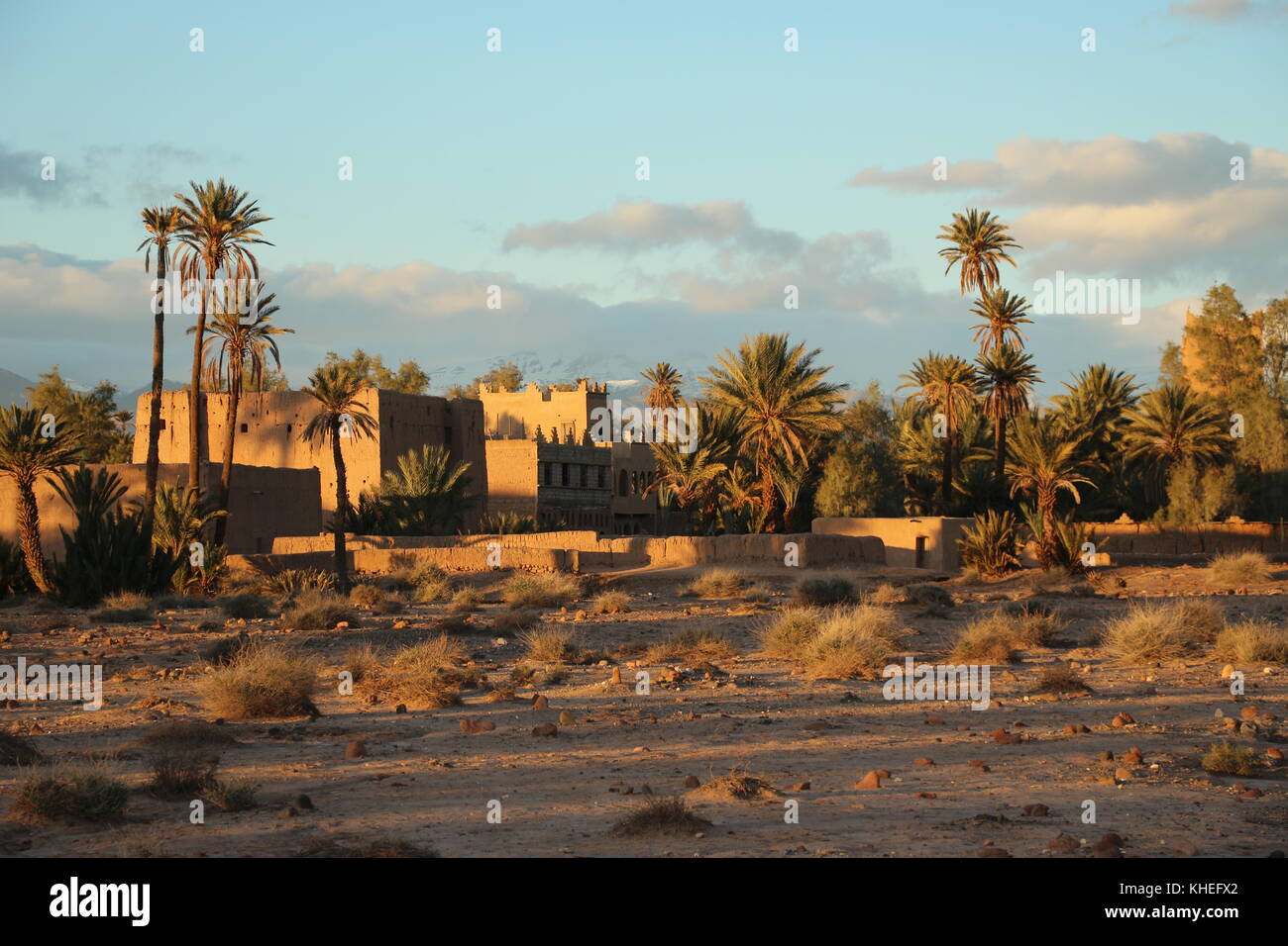 Skoura palm morocco hi-res stock photography and images - Alamy