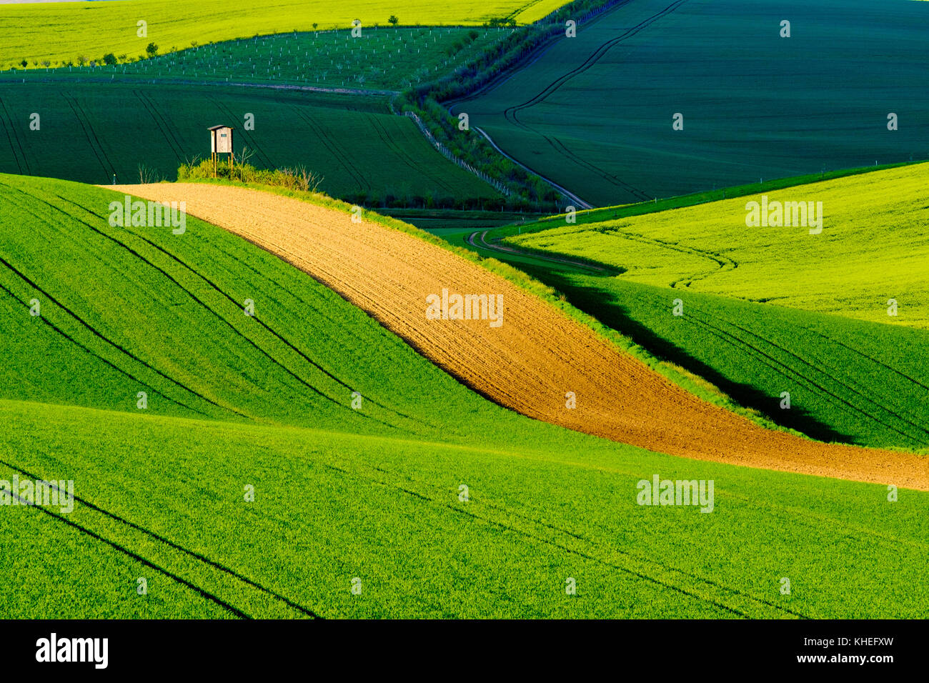 Wavy meadows spring landscape in South Moravia Stock Photo - Alamy