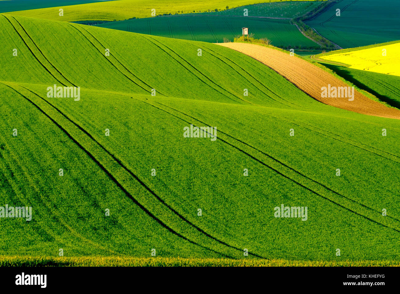 Wavy meadows spring landscape in South Moravia Stock Photo - Alamy
