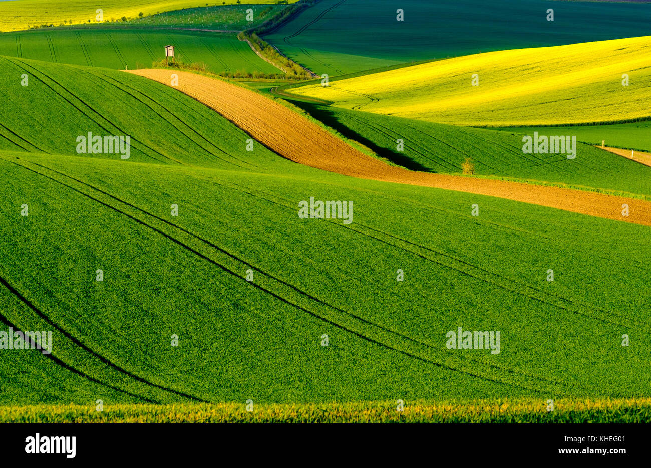 Wavy meadows spring landscape in South Moravia Stock Photo - Alamy