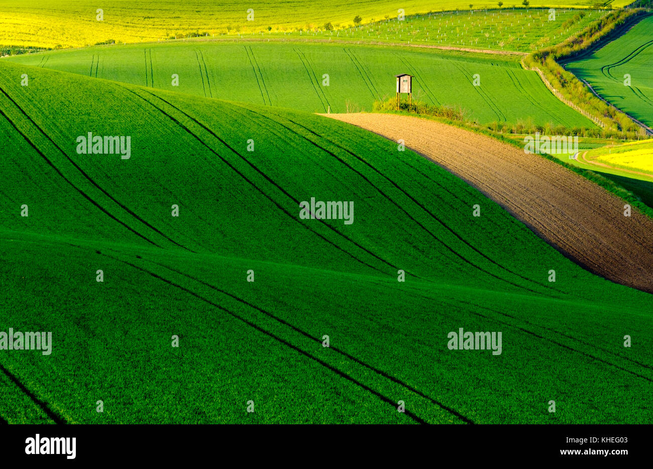 Wavy meadows spring landscape in South Moravia Stock Photo - Alamy