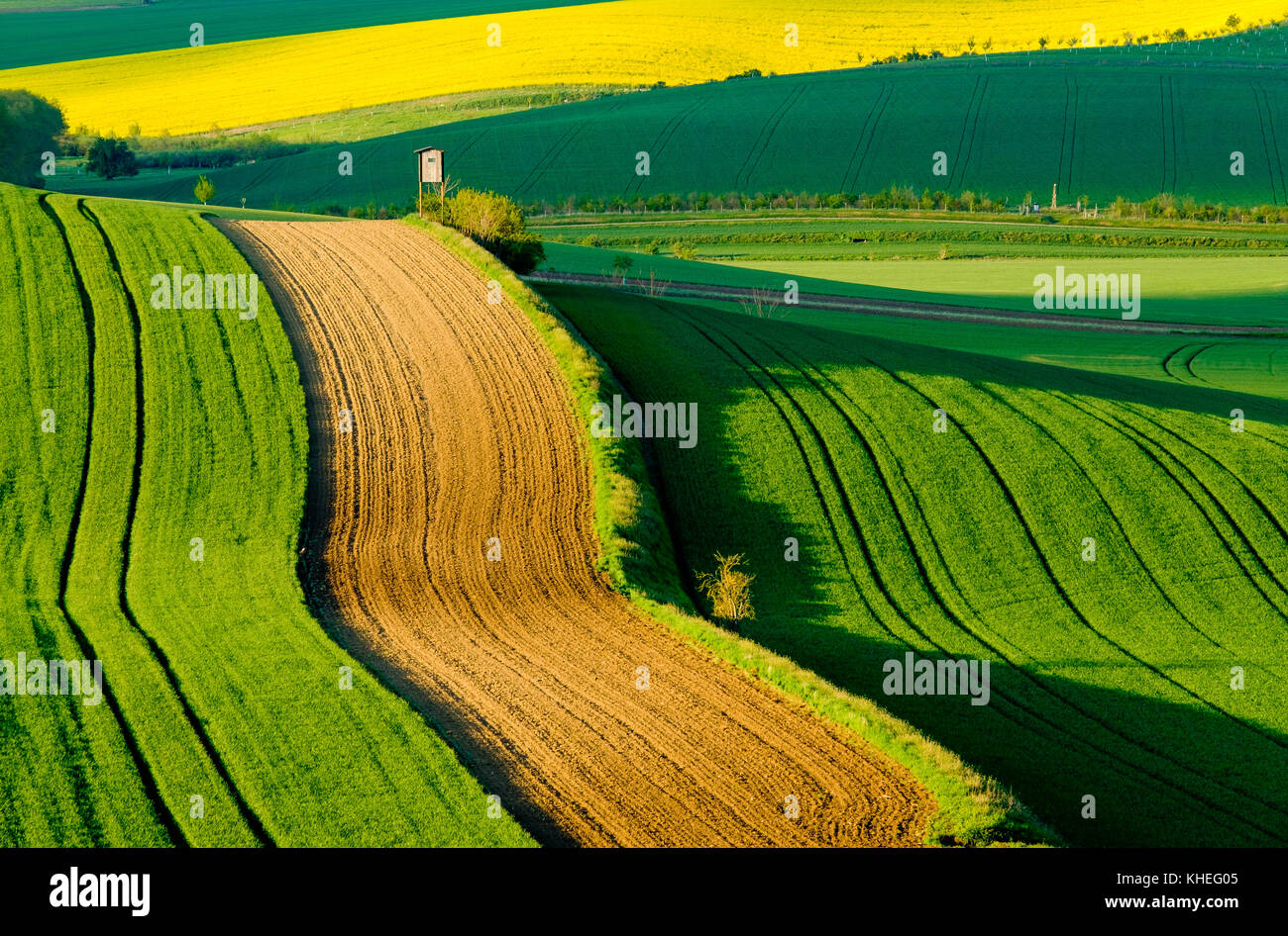 Wavy meadows spring landscape in South Moravia Stock Photo - Alamy