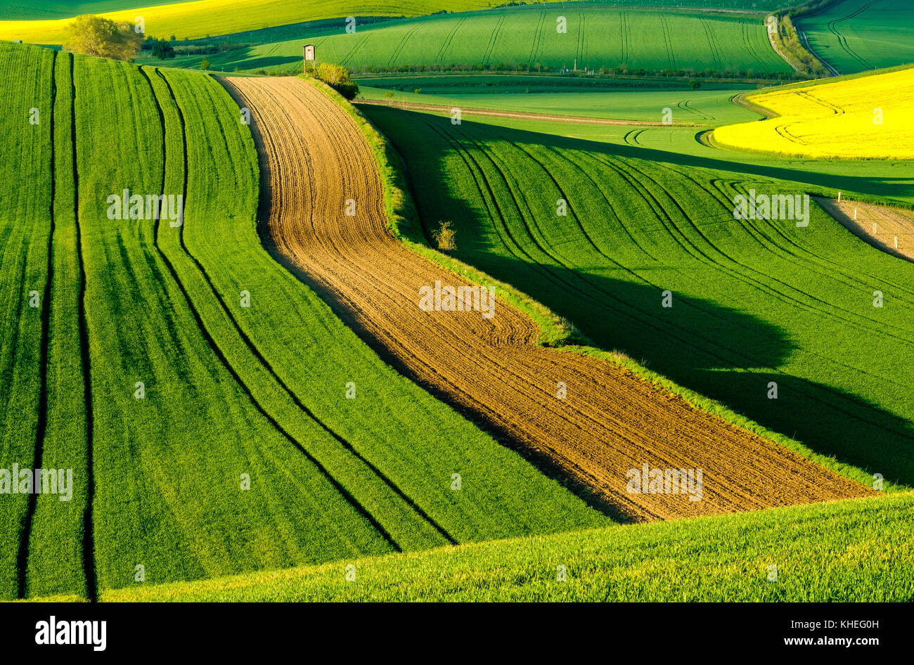 Wavy meadows spring landscape in South Moravia Stock Photo - Alamy