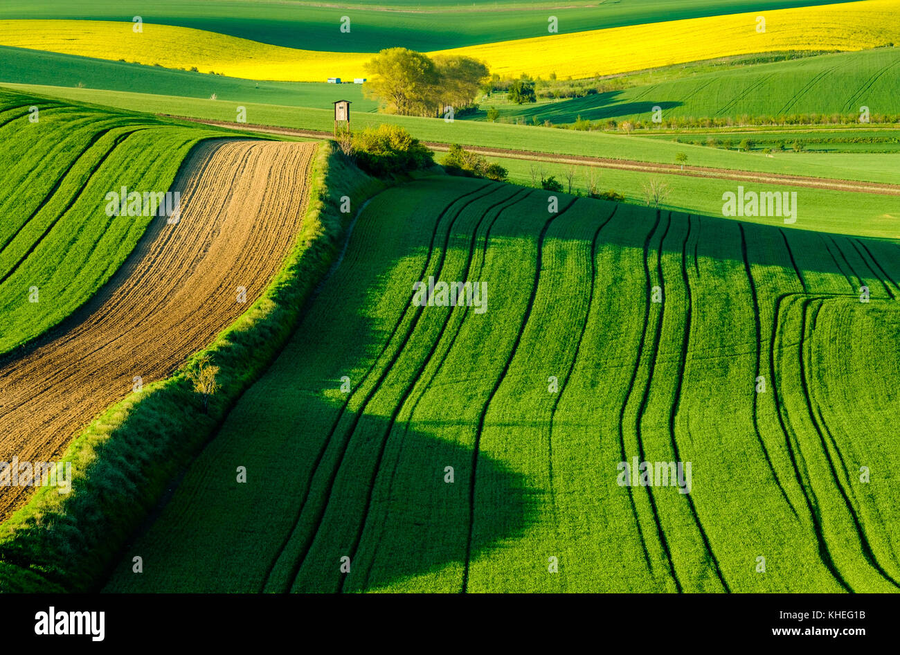 Wavy meadows spring landscape in South Moravia Stock Photo - Alamy