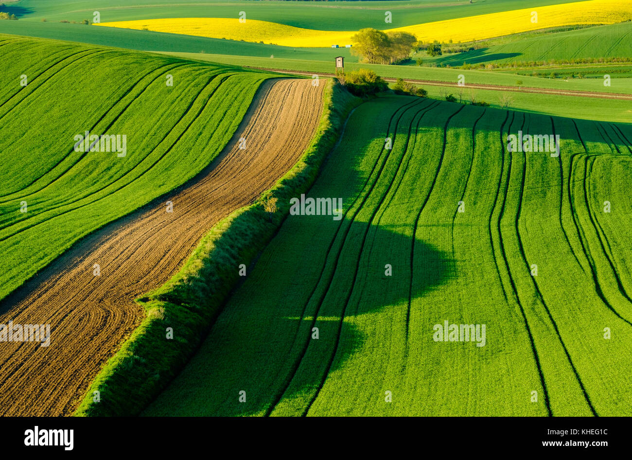 Wavy meadows spring landscape in South Moravia Stock Photo - Alamy