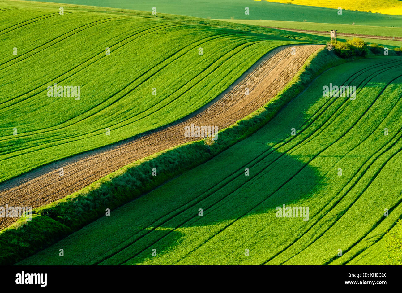 Wavy meadows spring landscape in South Moravia Stock Photo - Alamy