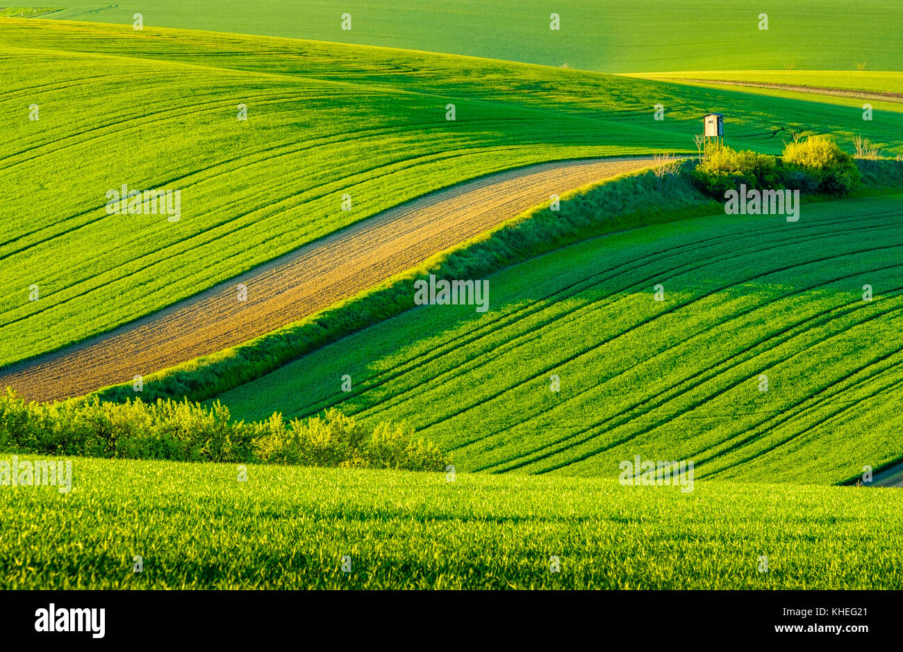 Wavy meadows spring landscape in South Moravia Stock Photo - Alamy
