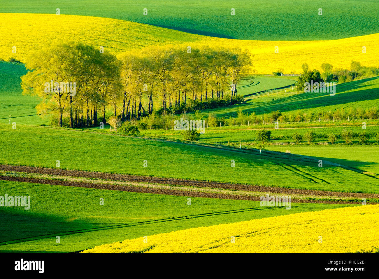 Wavy meadows spring landscape in South Moravia Stock Photo - Alamy
