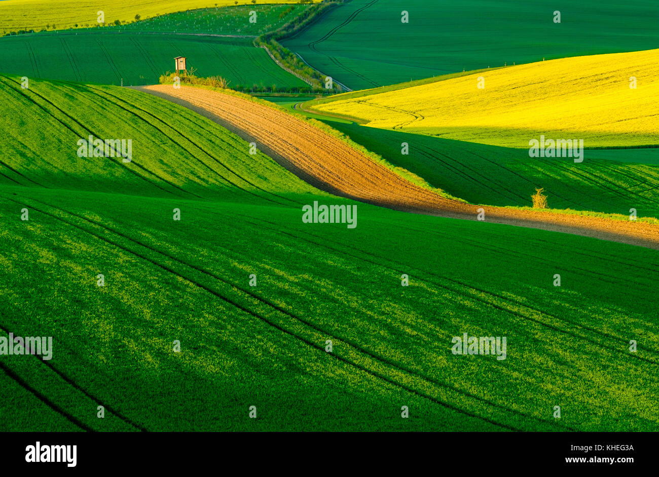 Wavy meadows spring landscape in South Moravia Stock Photo - Alamy