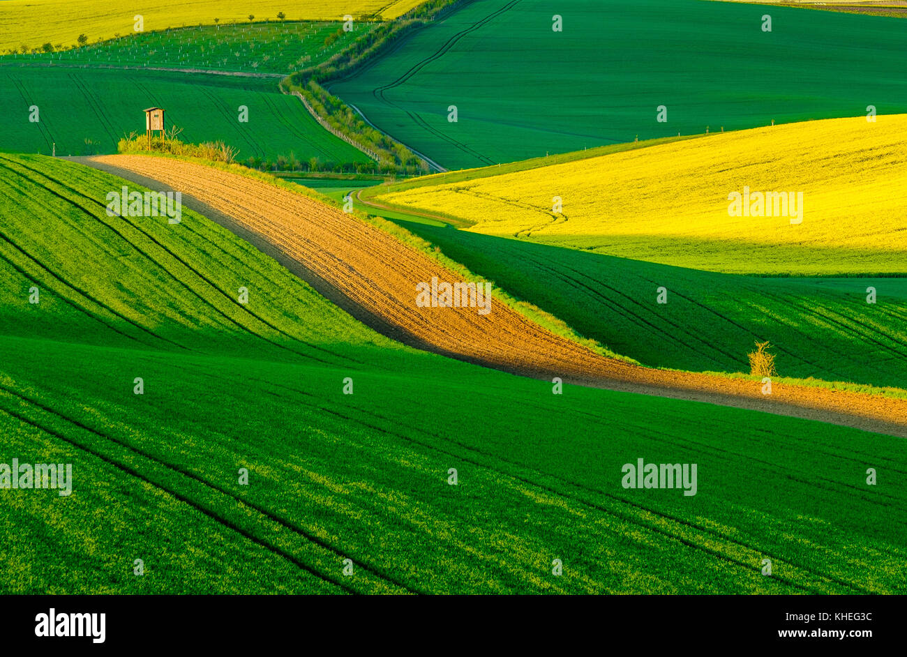 Wavy meadows spring landscape in South Moravia Stock Photo - Alamy