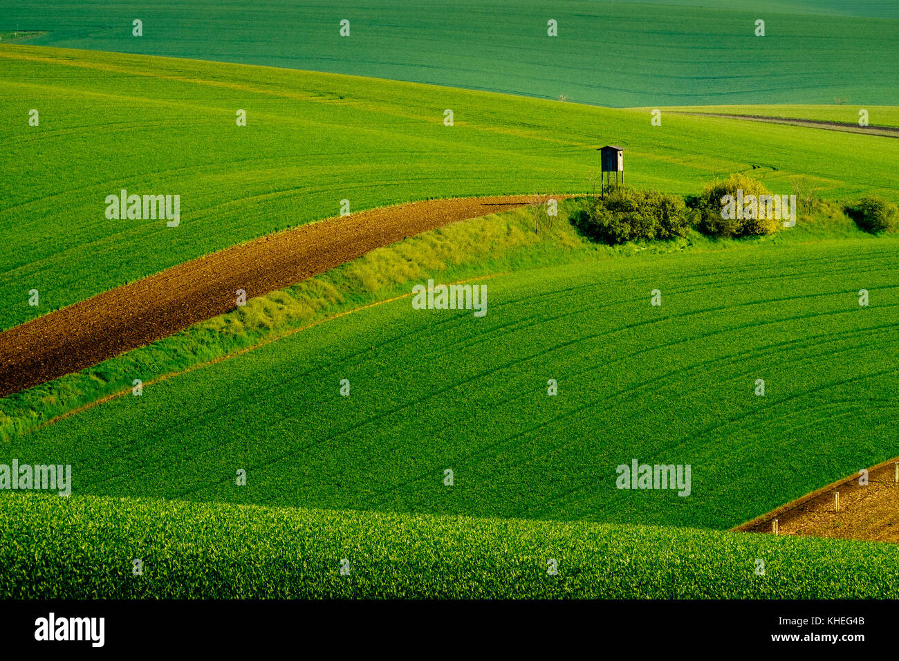 Wavy meadows spring landscape in South Moravia Stock Photo - Alamy