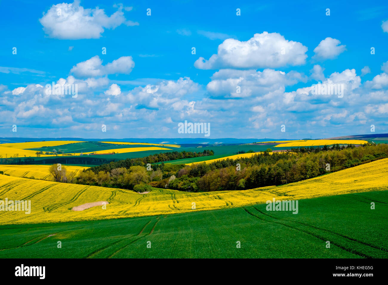 Wavy meadows spring landscape in South Moravia Stock Photo - Alamy