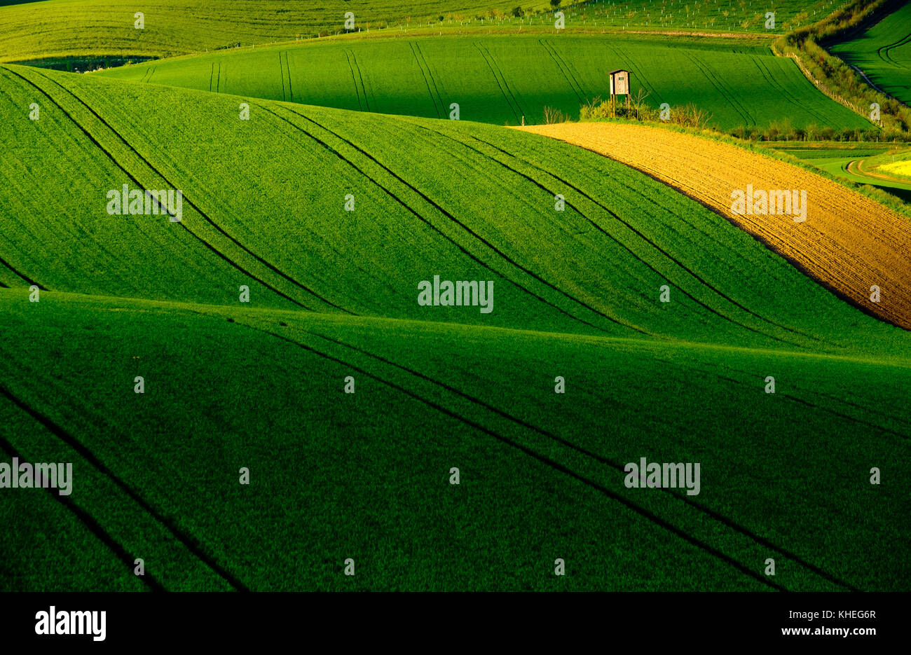 Wavy meadows spring landscape in South Moravia Stock Photo - Alamy