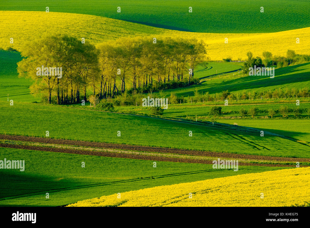 Wavy meadows spring landscape in South Moravia Stock Photo - Alamy