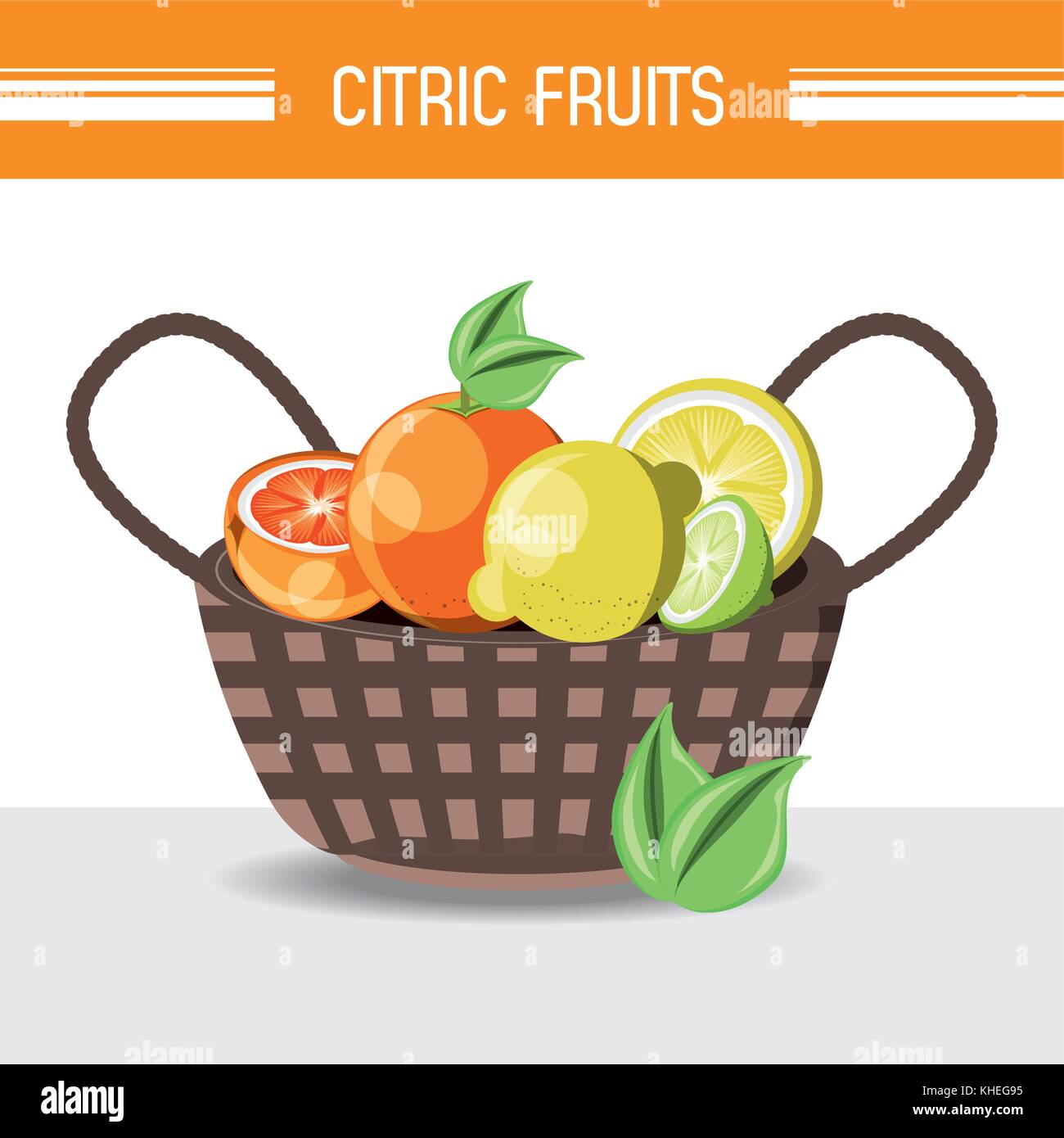 citric fruits design Stock Vector Image & Art - Alamy