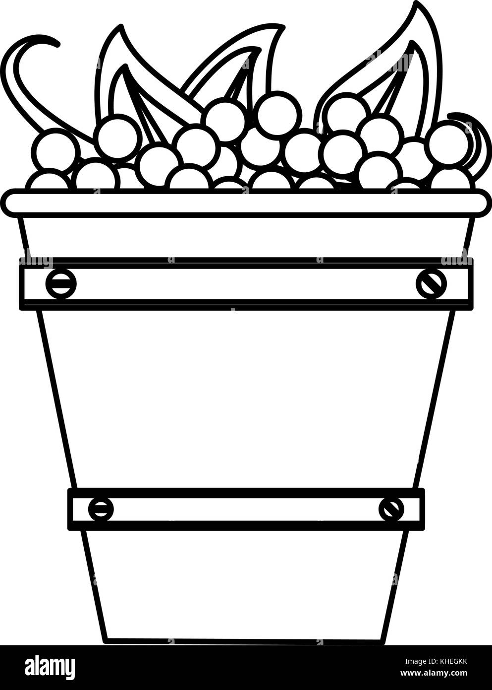 Fresh grapes leaves isolated Black and White Stock Photos & Images - Alamy