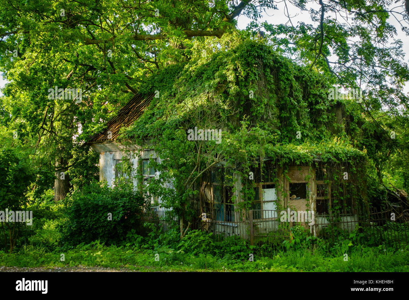 Overgrown house facade in countryside Stock Photo - Alamy