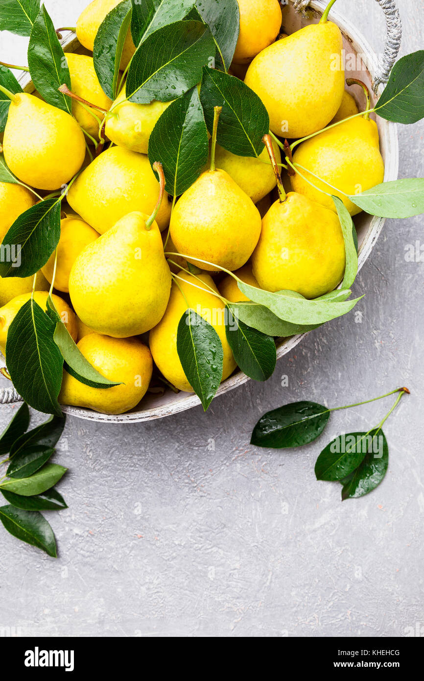 Yellow pear in grey basket in grey background. Harvest. Top view. Full ...