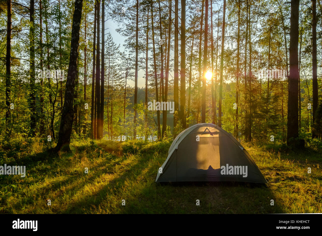 Tent forest hi-res stock photography and images - Alamy