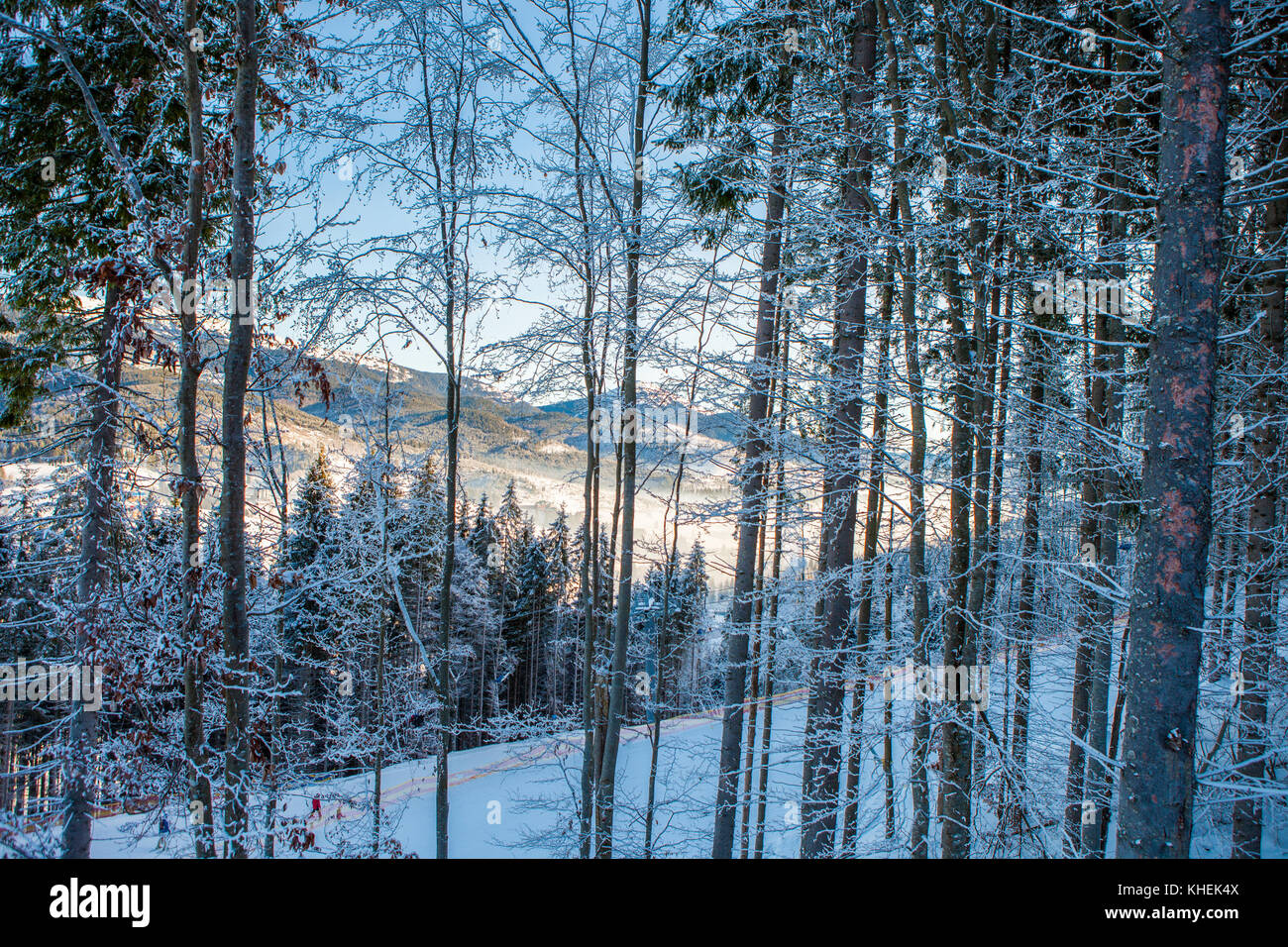 View of beautiful snowy mountains, forests Stock Photo - Alamy