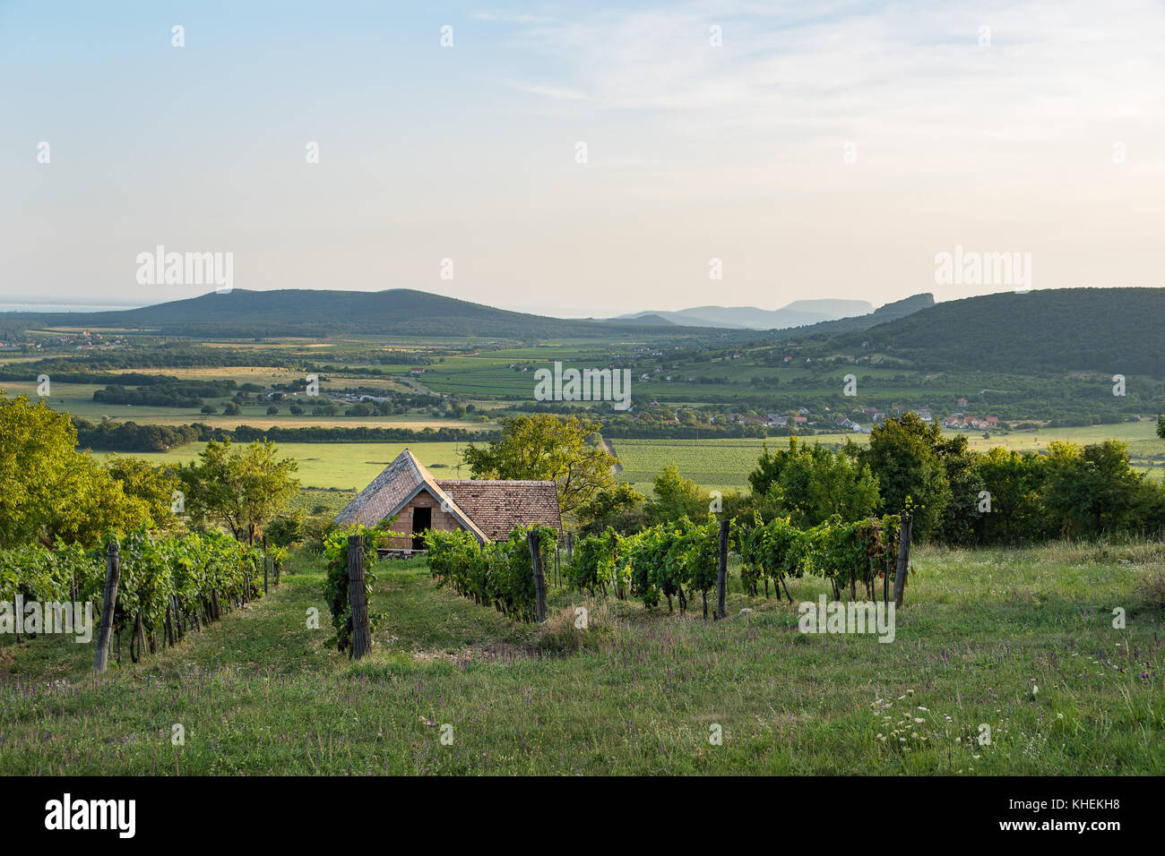 Balaton wine region hi-res stock photography and images - Alamy