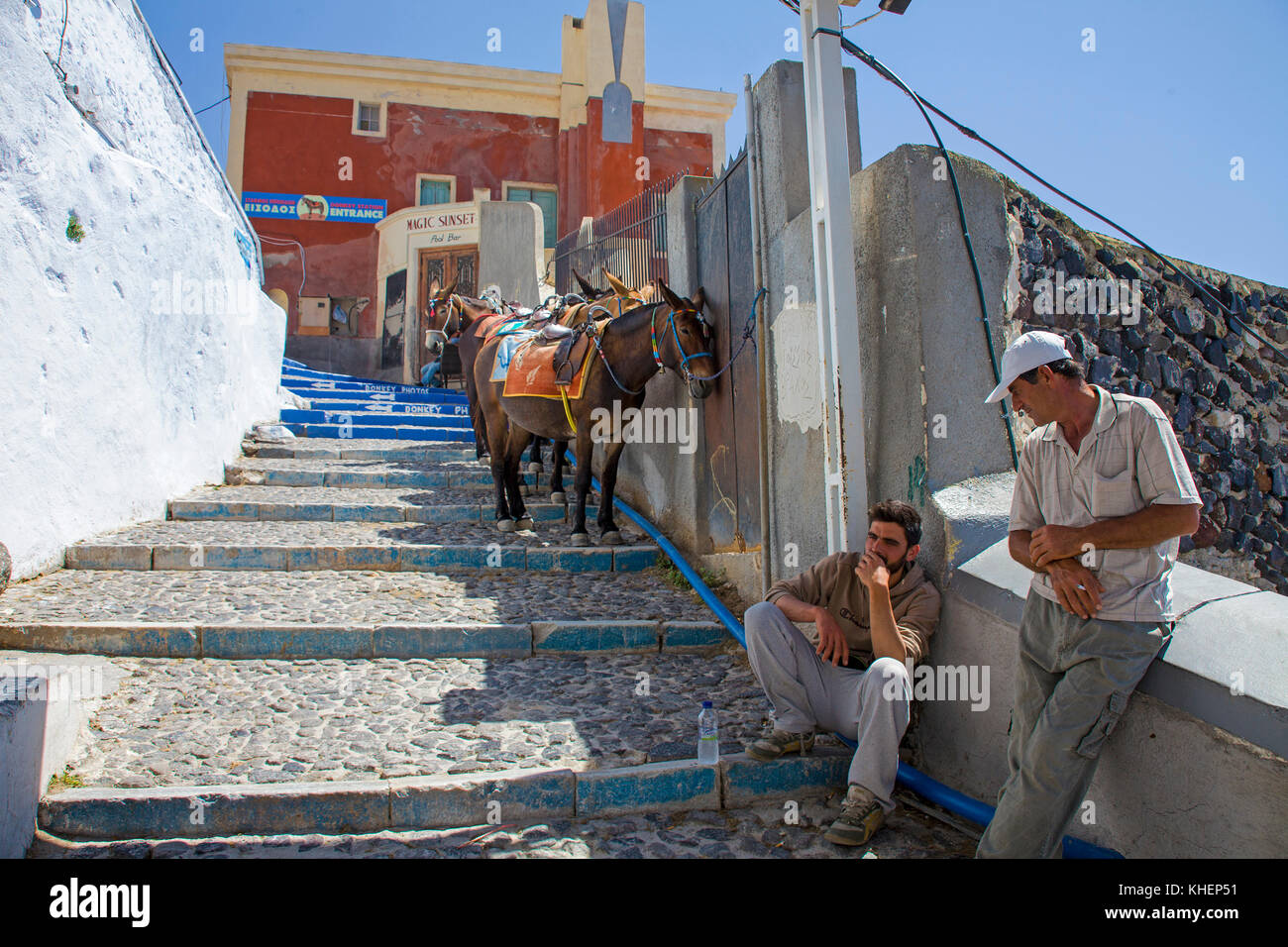Donkey driver and donkeys waiting for tourists, ride down to the old ...