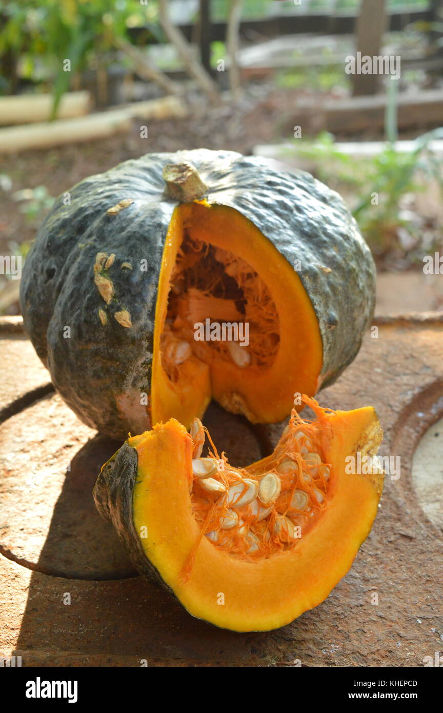 Japanese pumpkin hi-res stock photography and images - Alamy