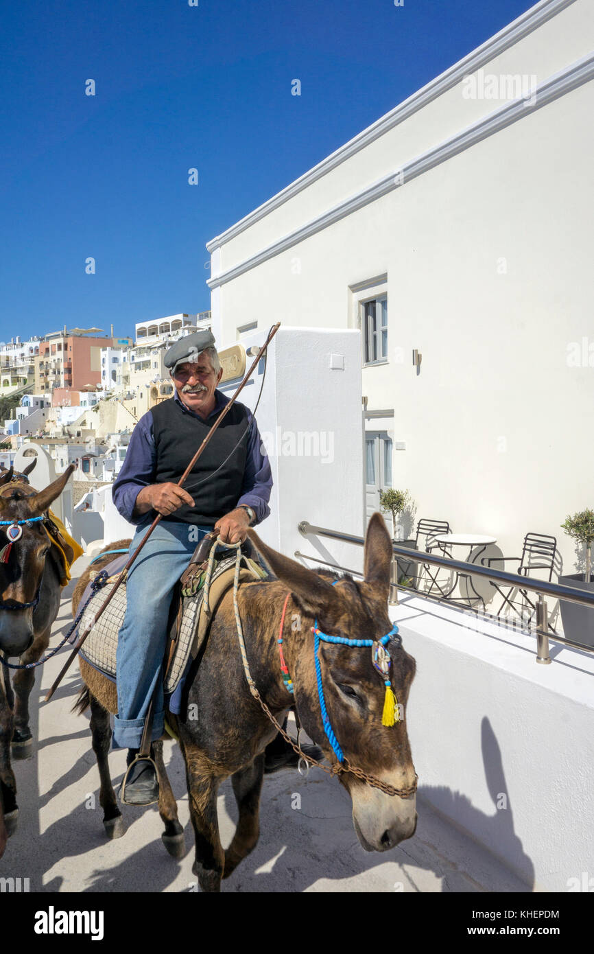 Local greek on a donkey, alley at Thira, Santorin island, Cyclades ...