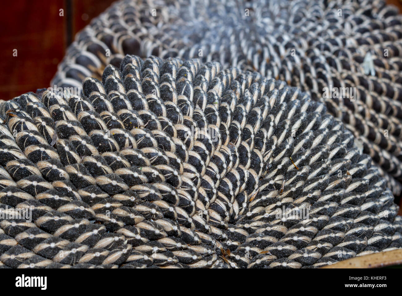 Living pods hi-res stock photography and images - Alamy