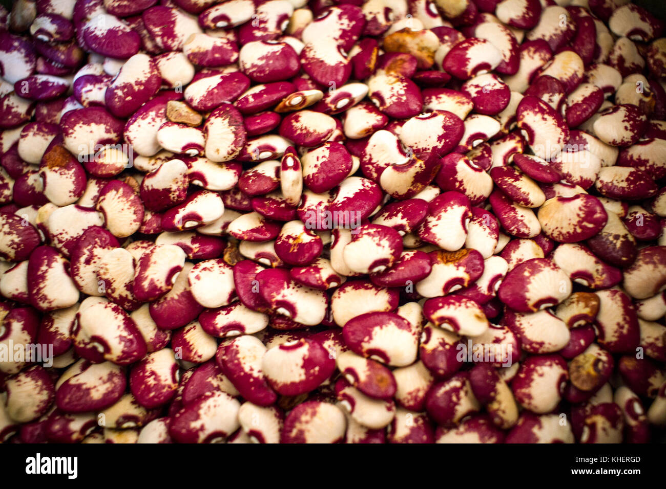 Lima farm hi-res stock photography and images - Alamy