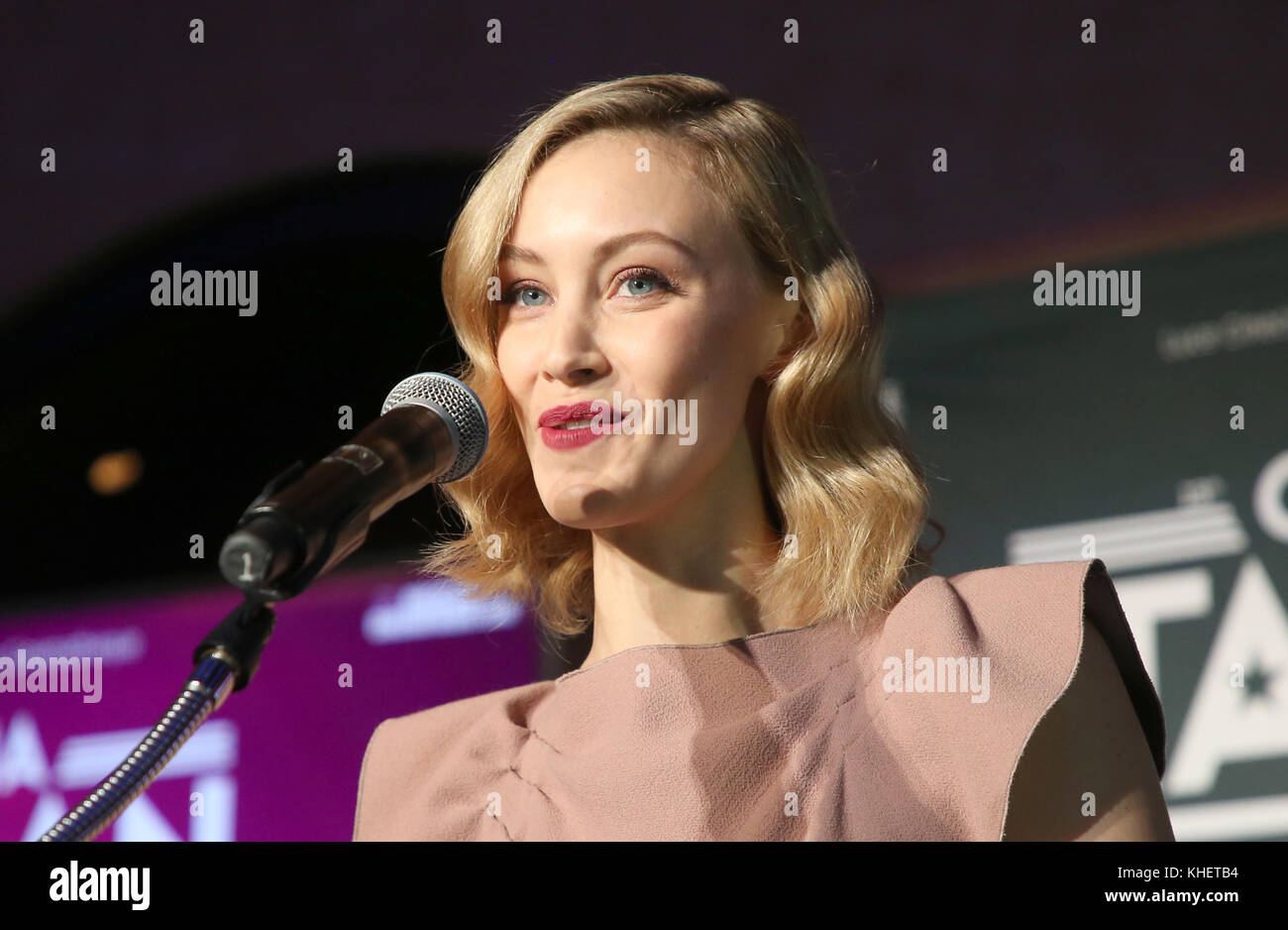 Hollywood, Ca. 15th Nov, 2017. Sarah Gadon, at AFI FEST 2017 Presents ...