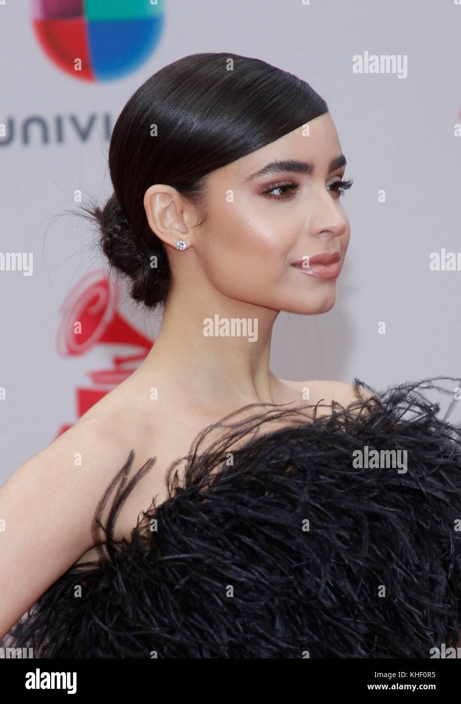 Las Vegas, NV, USA. 16th Nov, 2017. Sopia Carson at arrivals for 18th ...