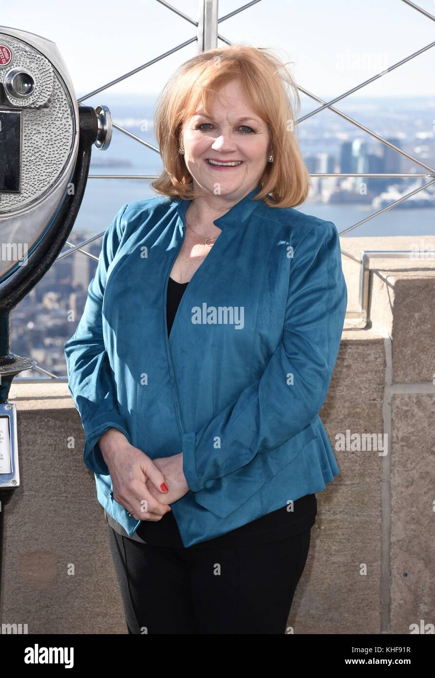 Lesley nicol downton abbey hi-res stock photography and images - Alamy